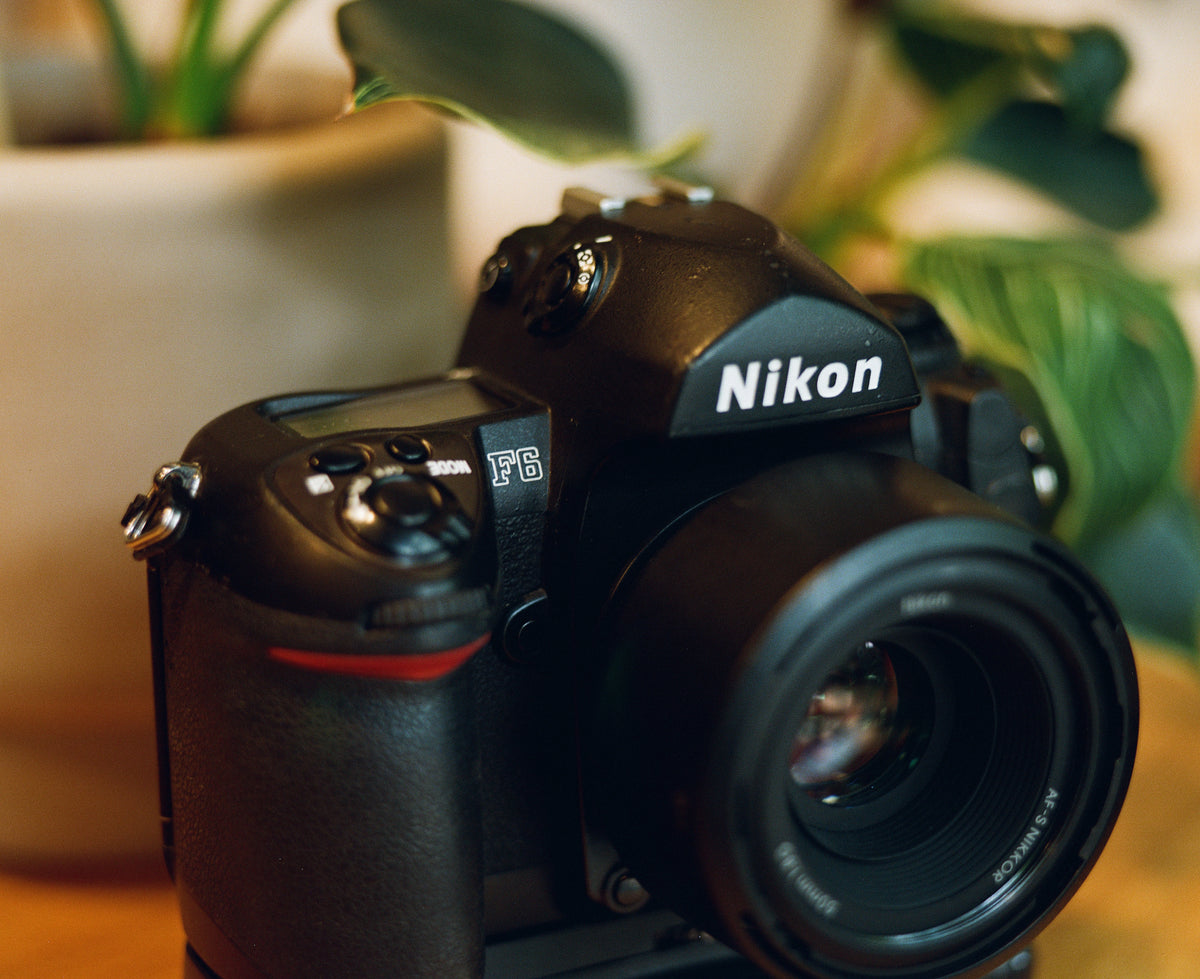 Rediscovering the Art of Film Photography with the Nikon F6 – Indisposable